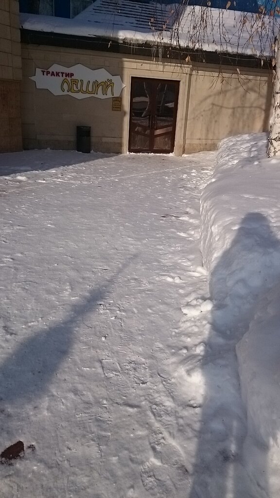 Kafe Traktir Leshy, Orenburg, foto