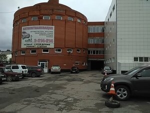 Pro Chip (Podlesnaya Street No:47А), otomobil servisi  Perm'den