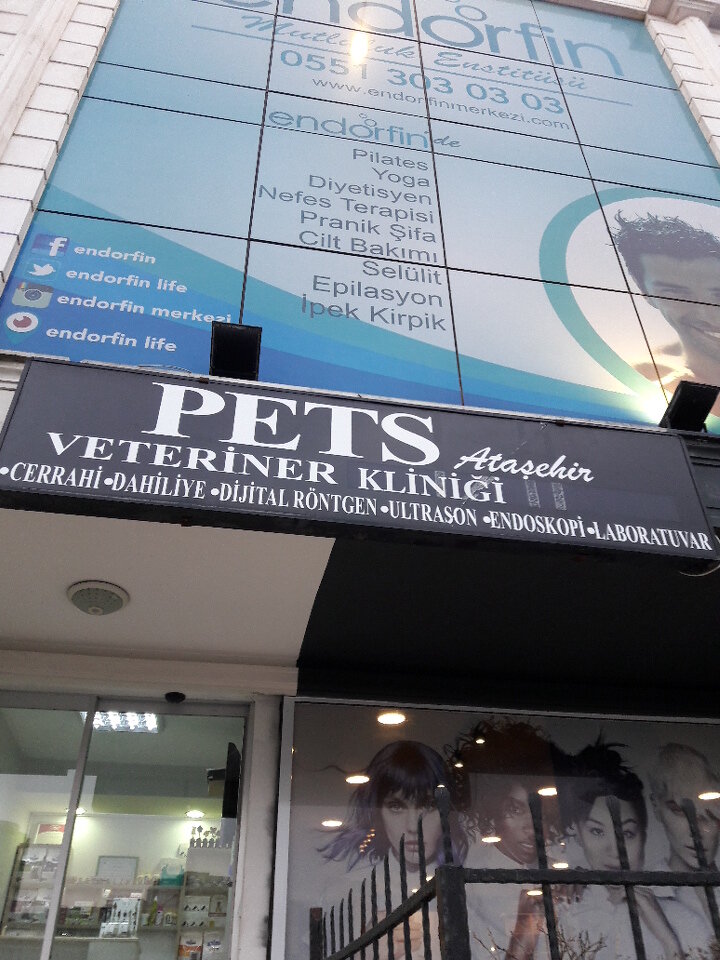 Evcil hayvan kuaförleri Pets Ataşehir Veteriner Kliniği, İstanbul, foto