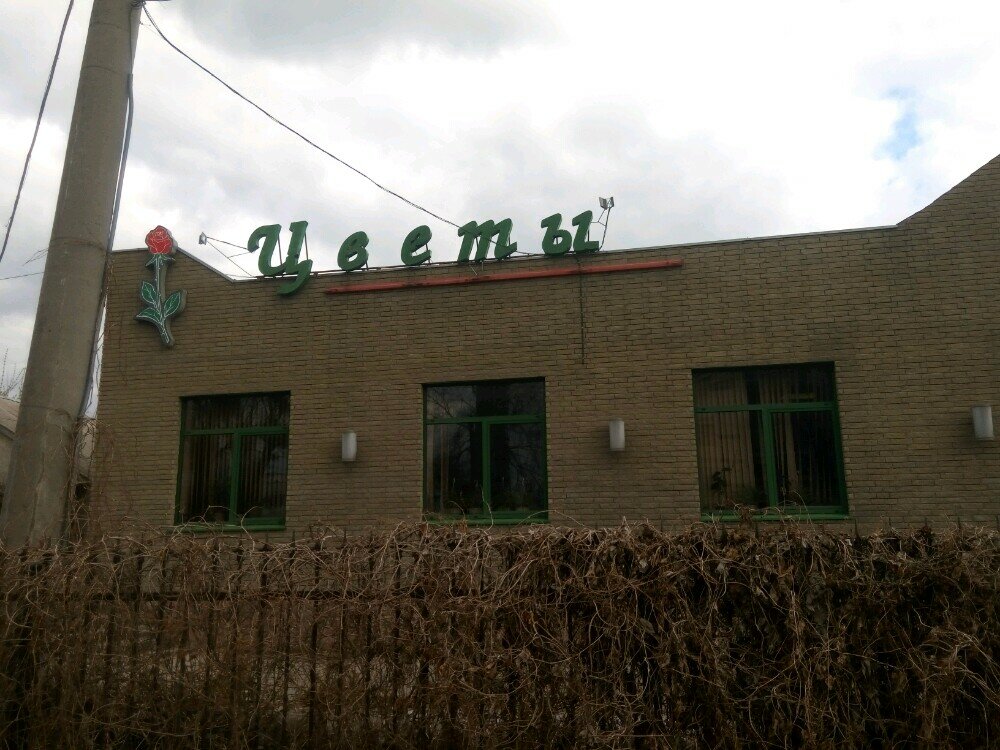 Çiçek teslimatı Magazin Tsvety, Harkiv, foto