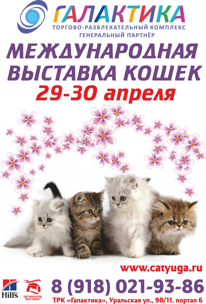 Hayvanat bahçesi merkezi Variyeta-Yug, Krasnodar, foto