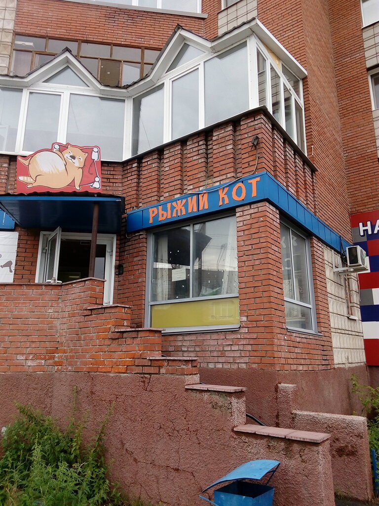 Petshop Redcat, Tomsk, foto