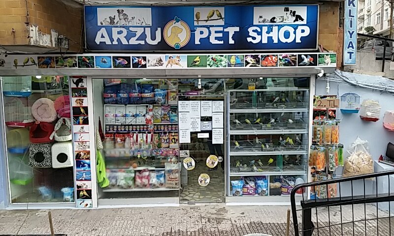 Petshop Arzu Petshop, İstanbul, foto