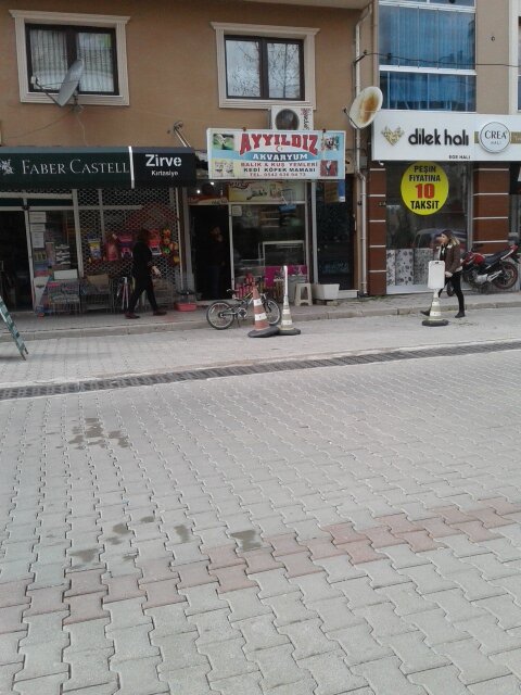 Petshop Ayyıldız Akvaryum, İzmir, foto