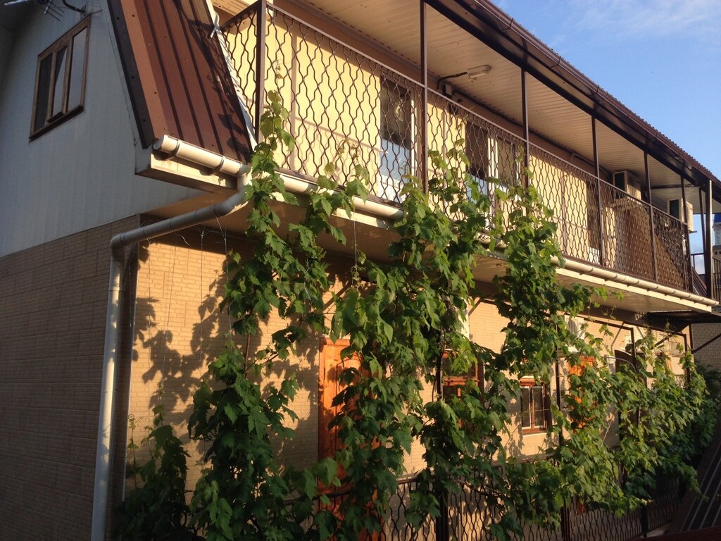 Otel Guest House Grebenskaya 50, Anapa, foto