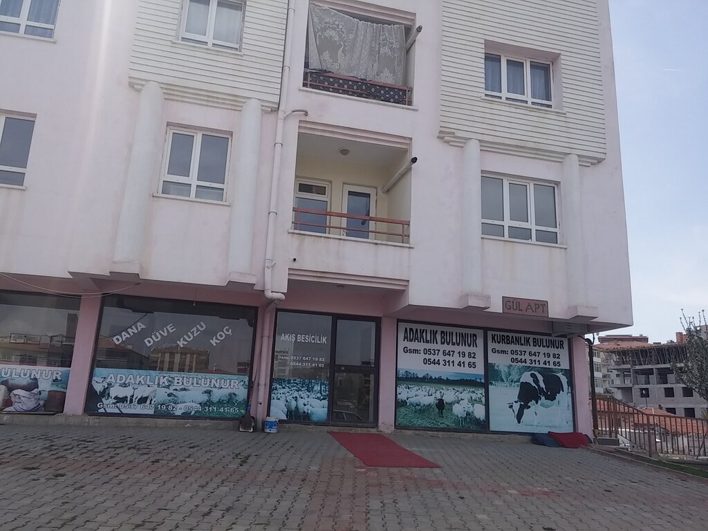 Hayvancılık Akış Besicilik, Ankara, foto