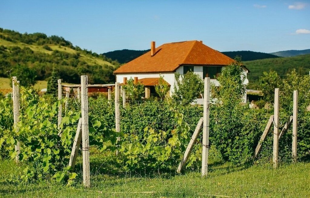 Tatil köyleri Konnaya baza Hod konem, Kırım Cumhuriyeti, foto