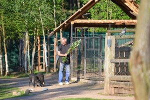 Hayvanat bahçeleri Zoograd, Pskovskaya oblastı, foto