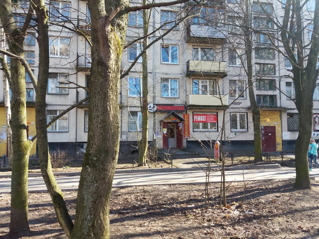 Ses ve video cihazlarının tamiri Radioatelye Sovetskoy tekhniki, Saint‑Petersburg, foto