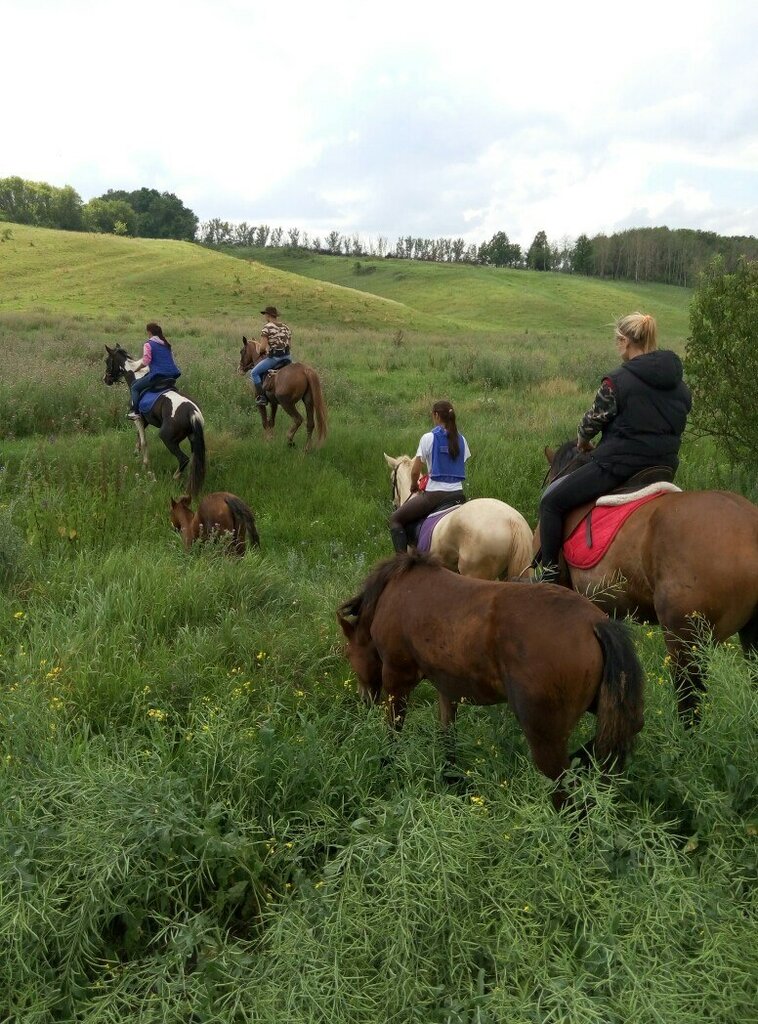 At ve binicilik kulüpleri Selena, Tulskaya oblastı, foto