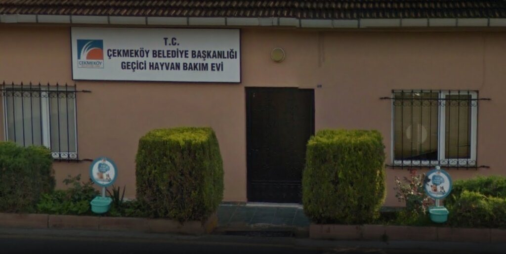 Konut servisleri kuruluşları Çekmeköy Belediyesi Geçici Hayvan Bakım Evi, İstanbul, foto