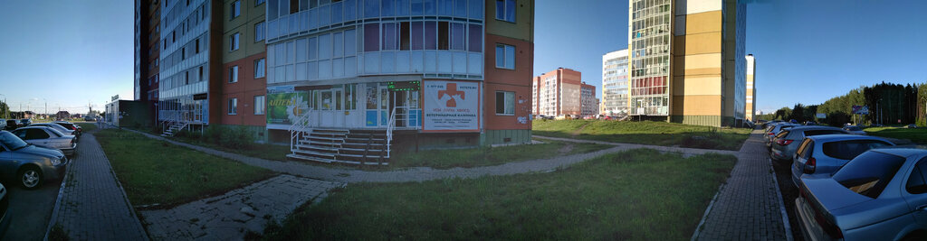 Veteriner klinikleri Ветеринарная клиника Усы Лапы Хвост, Tomsk, foto