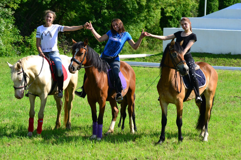 At ve binicilik kulüpleri Selena, Tulskaya oblastı, foto