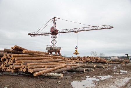 Ahşap endüstrisi Derevoobrabatyvayushchy kombinat, Belaya Holunitsa, foto