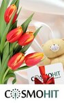 Internet-magazin Cosmohit.ua (Vikentiia Khvoiky Street No:21), kozmetik ve parfümeri mağazaları  Kiev'den