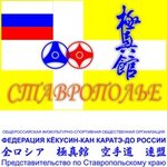 Kyokusin-kan karate-do (50 let VLKSM Street No:49А), spor okulları  Stavropol'dan