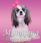 Milashka (Sayanskaya Street No:13), evcil hayvan kuaförleri  Zheleznogorsk'tan