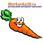 Morkovka38.ru (ulitsa Lenina No:79), yönetim ofisi  Usolye‑Sibirskoye'den