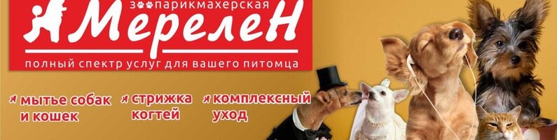 Evcil hayvan kuaförleri Gruming salon Merelen, Stupino, foto