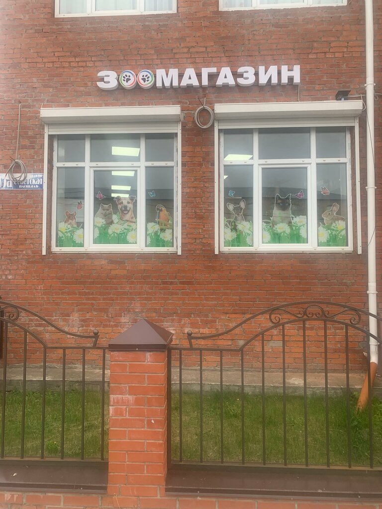 Petshop КотоПёс, Moskova ve Moskovskaya oblastı, foto