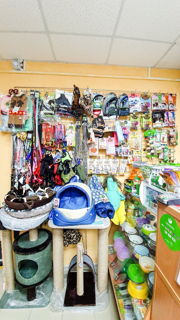 Petshop Dva kota, Rostov‑na‑Donu, foto