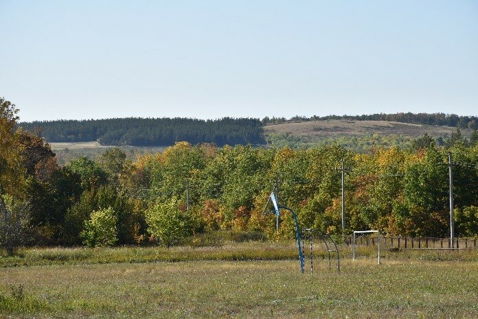 Doğa Ботанический памятник природы Платовская лесная дача, Orenburgskaya oblastı, foto