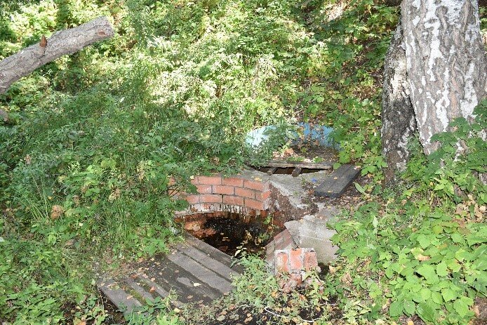 Pınar, çay Гидрогеологический памятник природы Урочище Атамановский родник, Orenburgskaya oblastı, foto