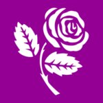 Missis Rose (ulitsa Aeroport No:56), çiçekçiler  Novosibirsk'ten