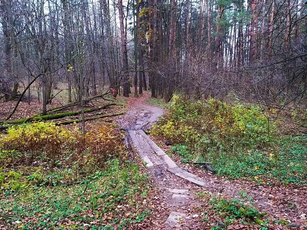 Pınar, çay Spring, stream, Moskova, foto