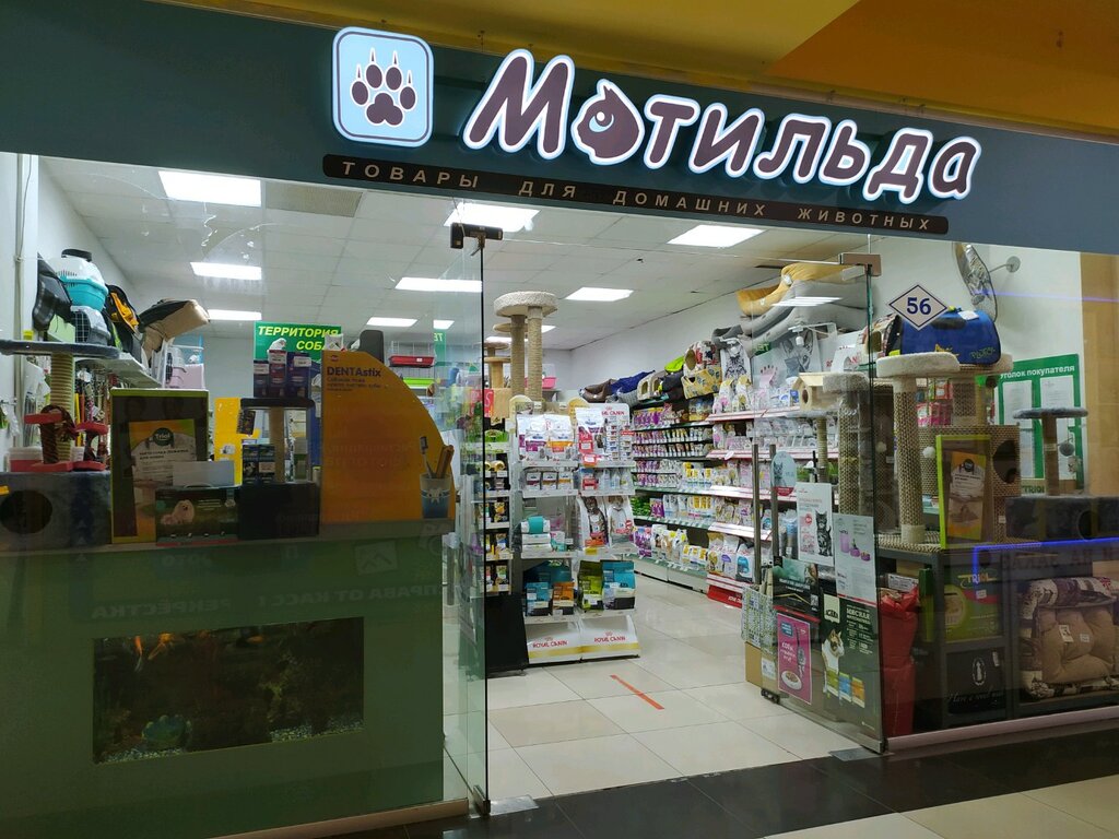 Petshop Матильда, Magnitogorsk, foto