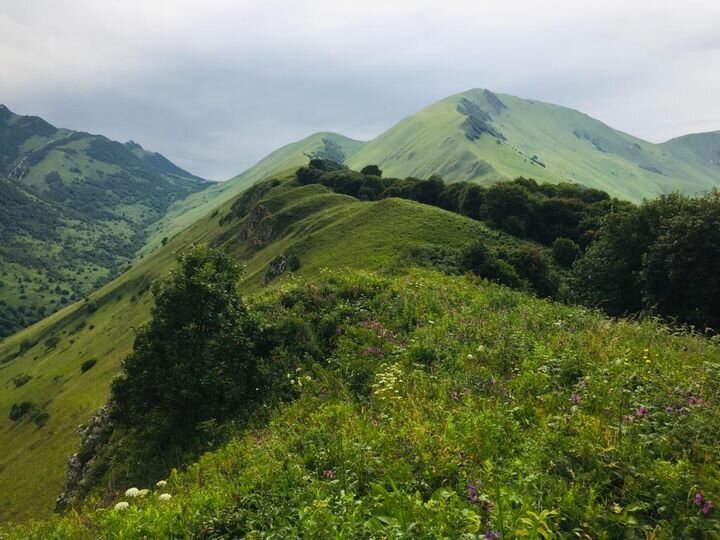 Dağ zirvesi Гора Балой-Лам, Çeçen Cumhuriyeti, foto