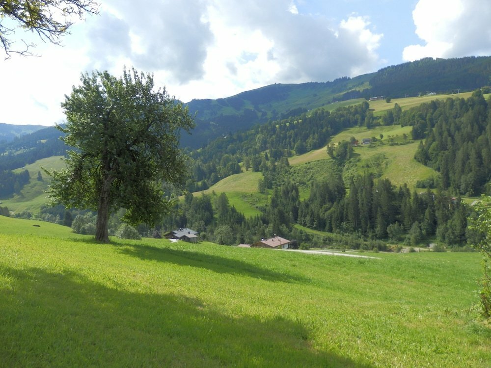 Otel Bauernhof Lohningbauer, Dünya, foto