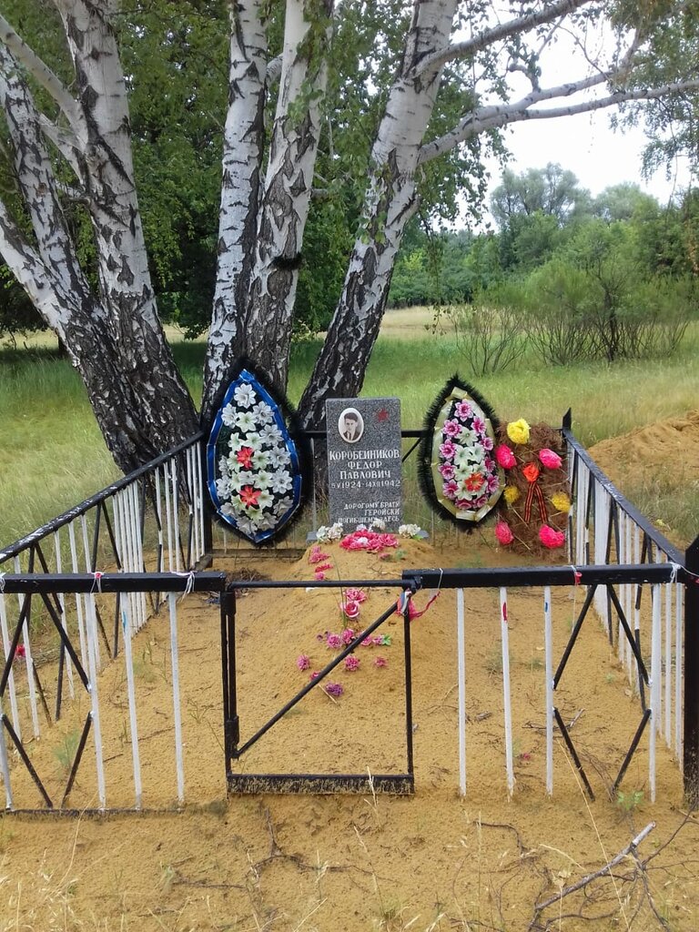 Ünlü kişilerin mezarları Могила лётчика, Rostovskaya oblastı, foto