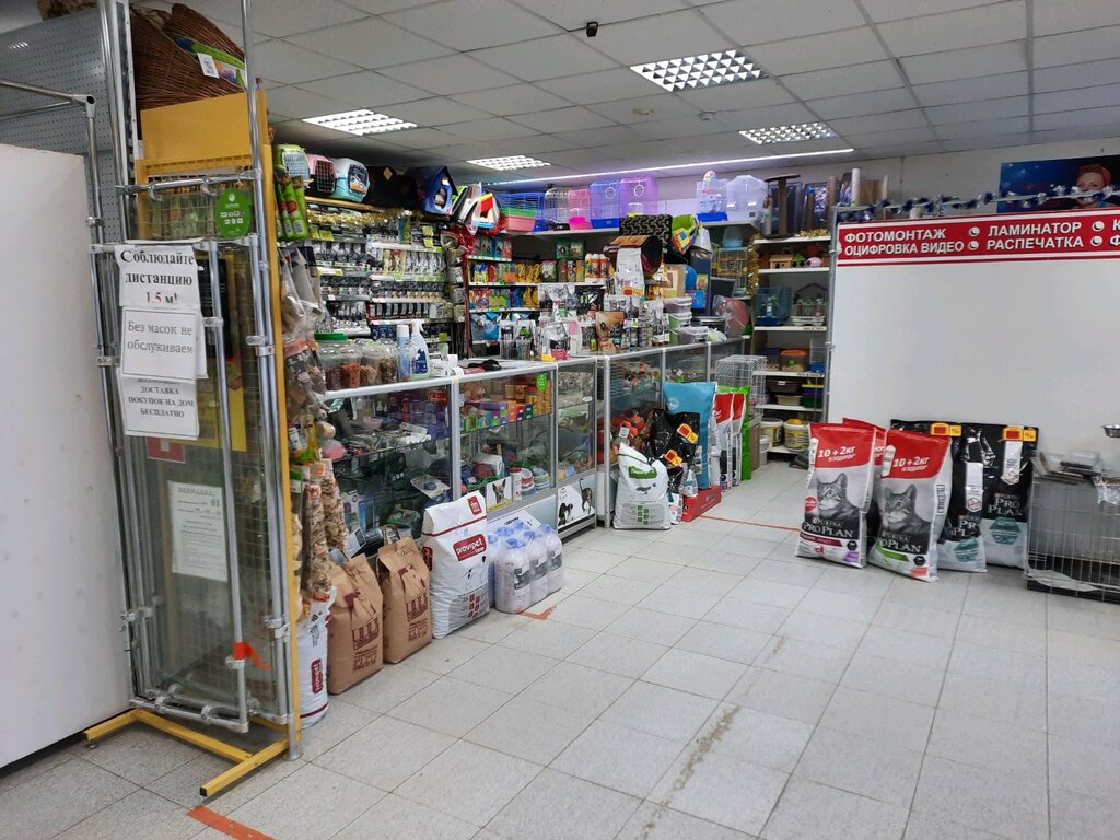 Petshop Akvamir Nemo, Volgograd, foto
