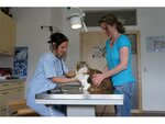 Tierarztpraxis Isser (Marienplatz No:4, Wattens), veteriner klinikleri  Tirol'den
