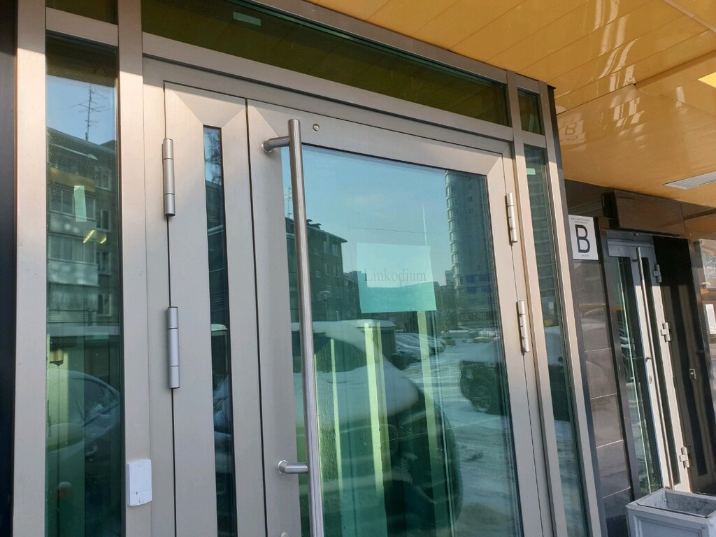 Bilişim firmaları Linkodium, Perm, foto