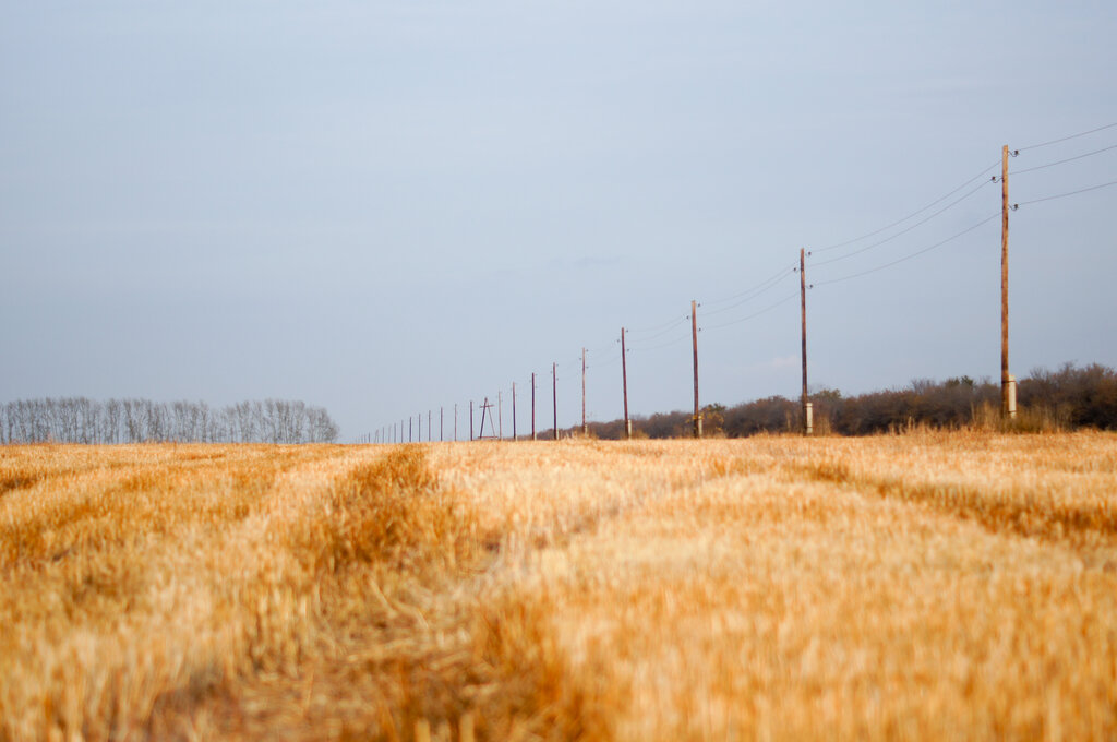 Enerji firmaları Rosseti Sibir, Barnaul, foto