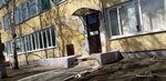 Detsky sad № 183 (Volgogradskaya ulitsa No:36/5), anaokulları  Orenburg'dan