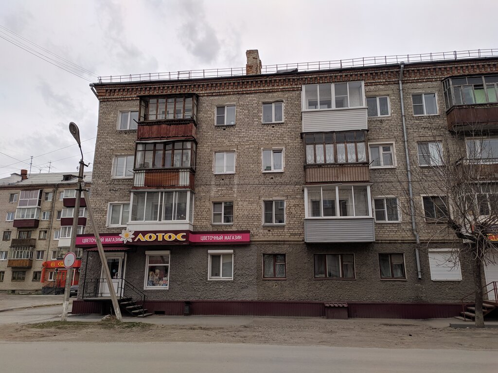 Çiçekçiler Lotos, Şadrinsk, foto