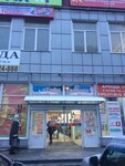 Lotos (Dzerzhinsky Street No:84А), çiçekçiler  Kursk'tan