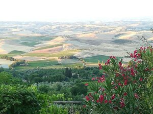 Ristorante Boccon di Vino (Tuscany, Provincia di Siena, Traversa dei Monti), restoran