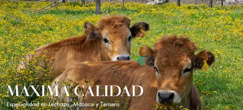 Toptan et ürünleri Carnes de Castilla, Kastilya ve Leon, foto