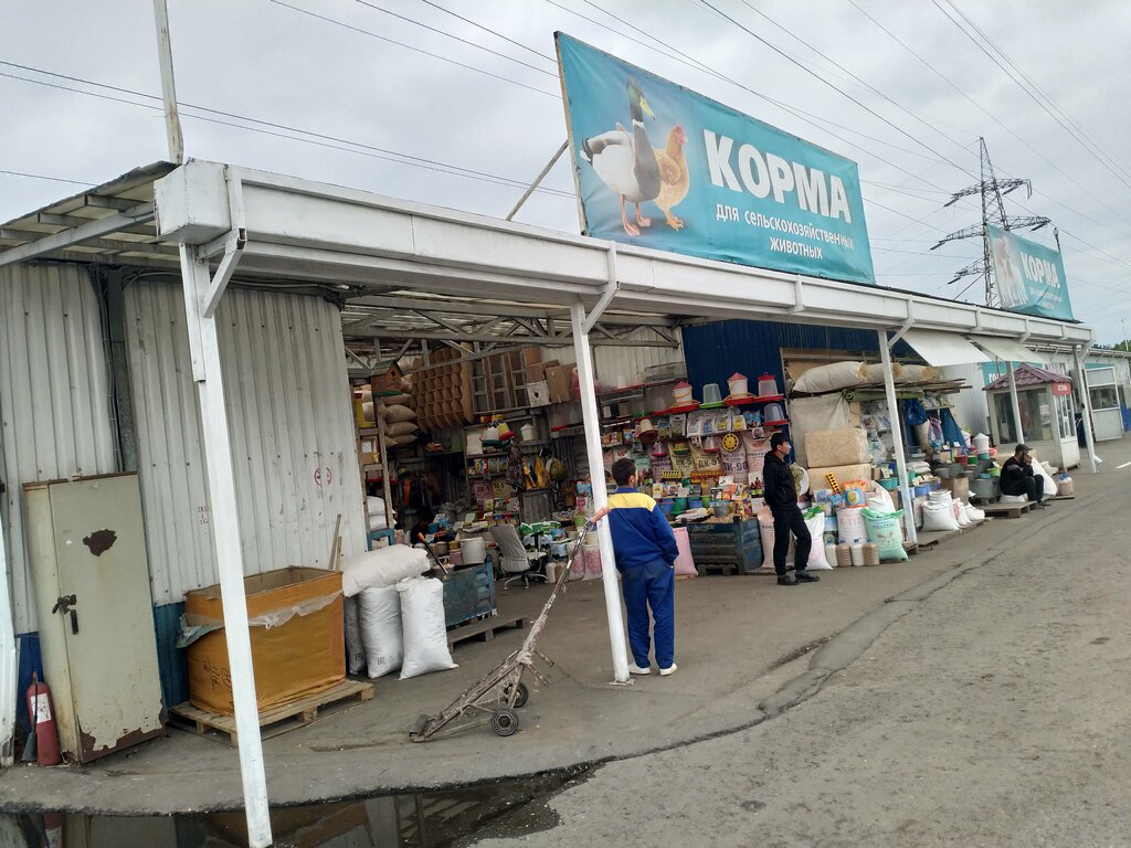 Petshop Все для голубей, Moskova, foto