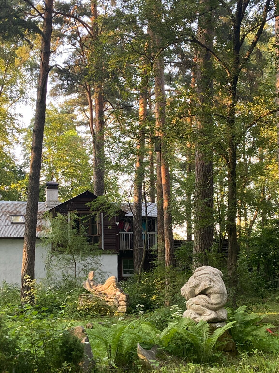 Müzeler ve sanat galerileri Музей-мастерская Николая Абакумцева, Moskova ve Moskovskaya oblastı, foto