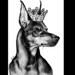 Little Prince (Novoselskaya ulitsa No:2), evcil hayvan kuaförleri  Slantsy'den
