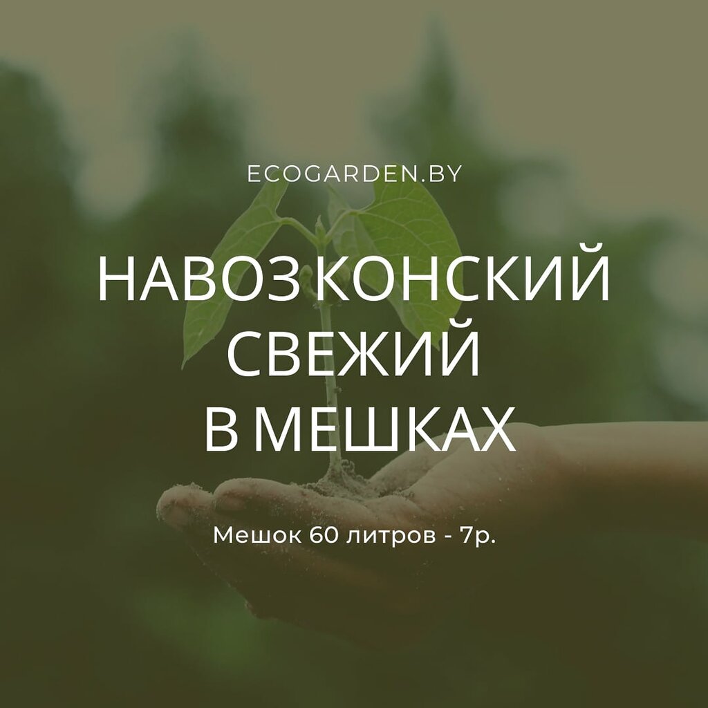 Gübre firmaları Ecogarden, Minskaya oblastı, foto