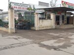 Питомник декоративных хвойных растений (Anapskoye Highway No:72/5), fidan yetiştiriciliği  Anapa'dan