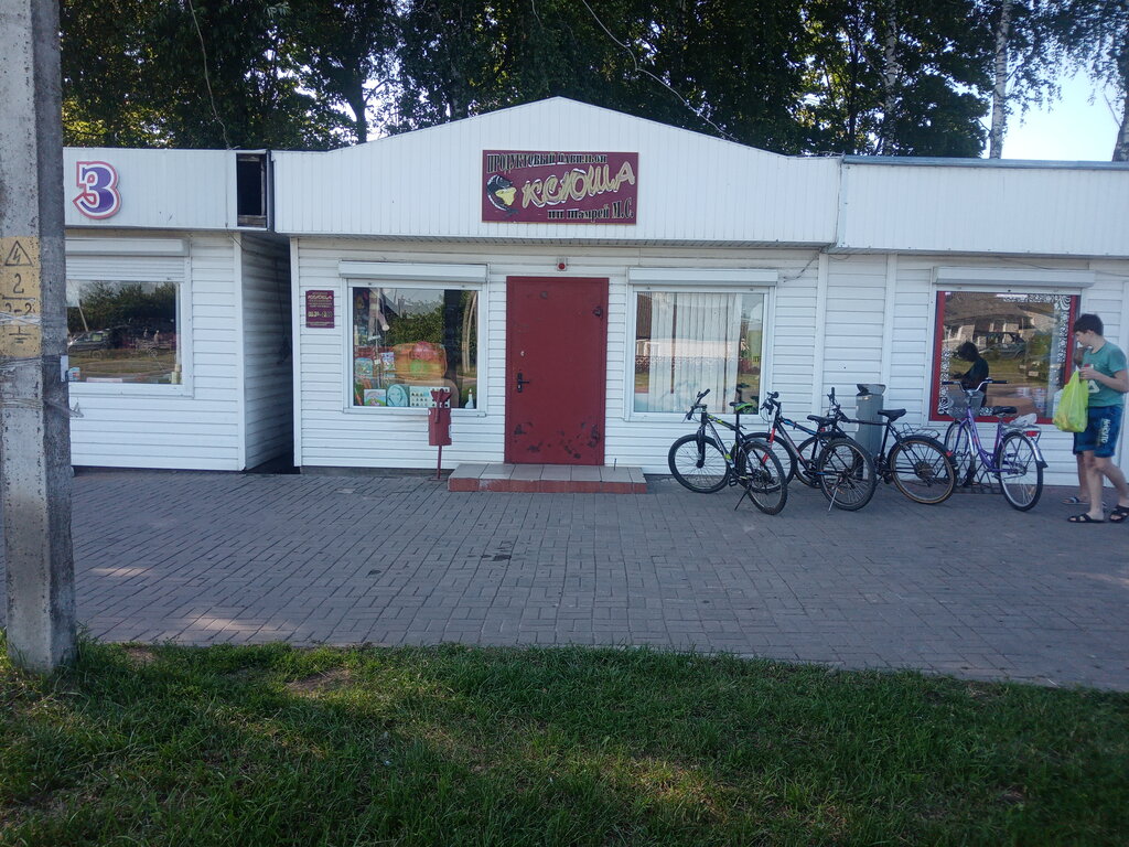 Mini-market Ксюша, İvye, foto