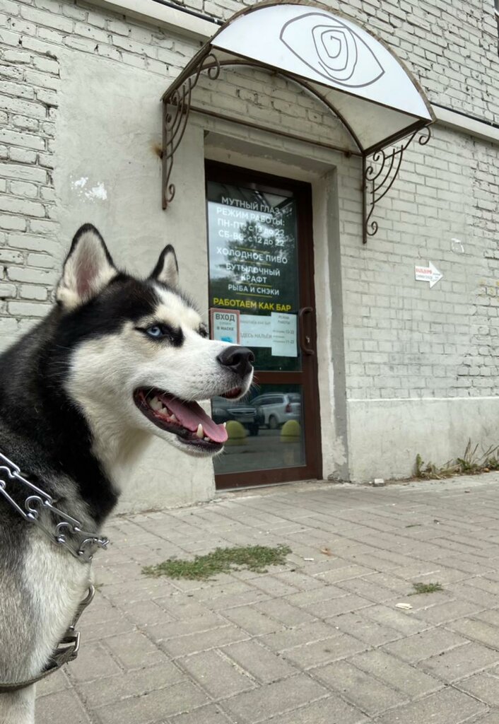 Bar Mutnyi Glaz, Saint‑Petersburg, foto