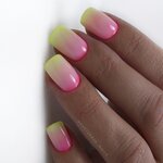 Svetskaya Nails (Andropova Avenue No:35), manikür-pedikür  Moskova'dan